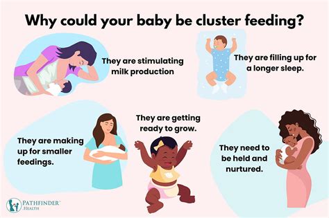 Cluster Feeding Ages - My Share