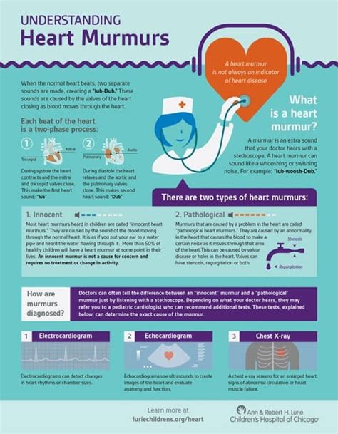 Do Heart Murmurs Go Away - My Share