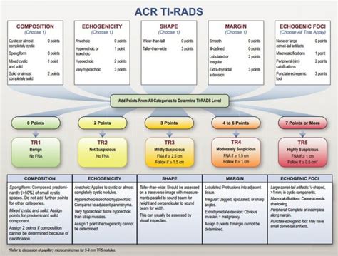 Ti Rads Calculator - My Share